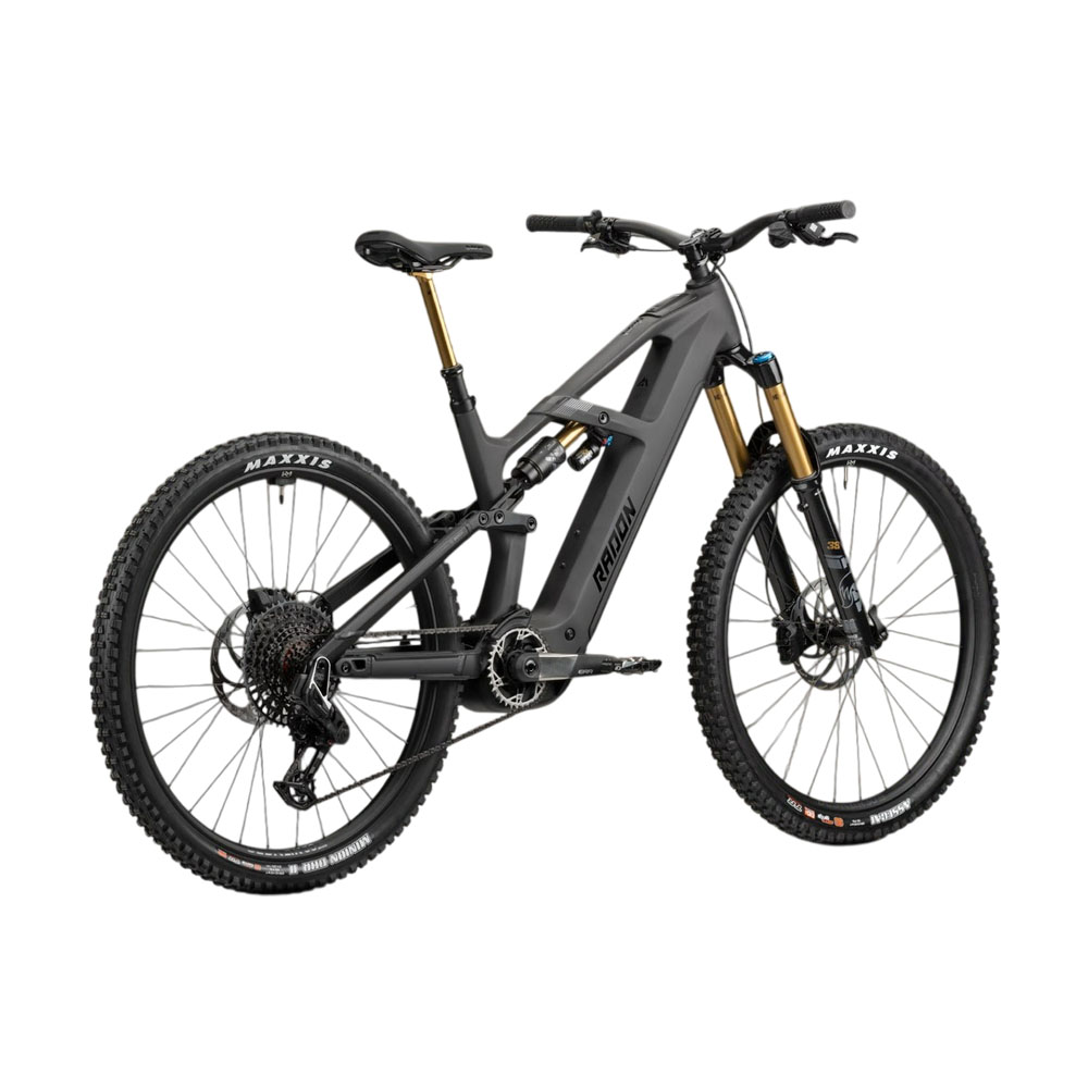 2025 Radon DEFT 10.0 800 Mountain Bike